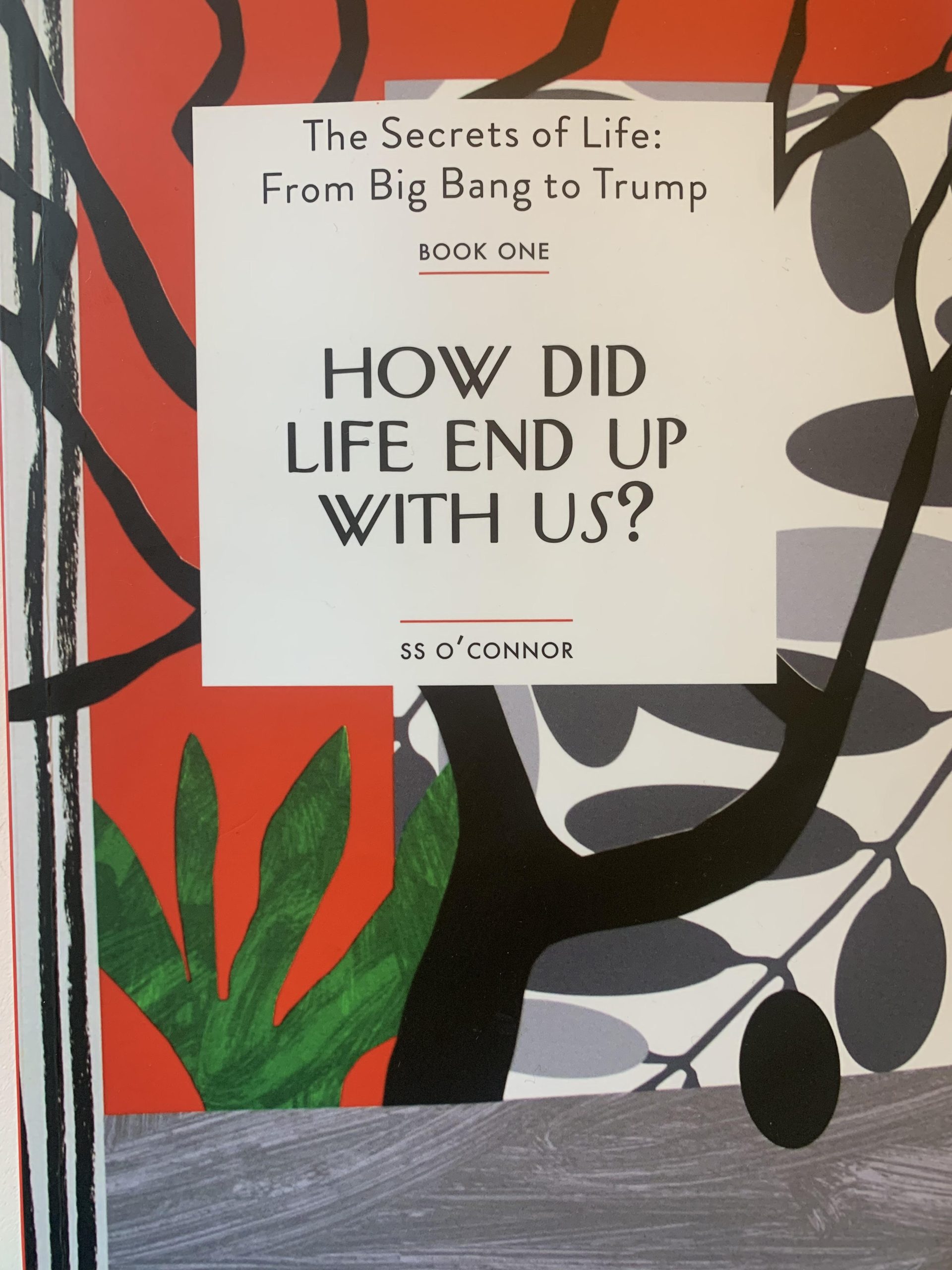 How Did Life End Up With Us?